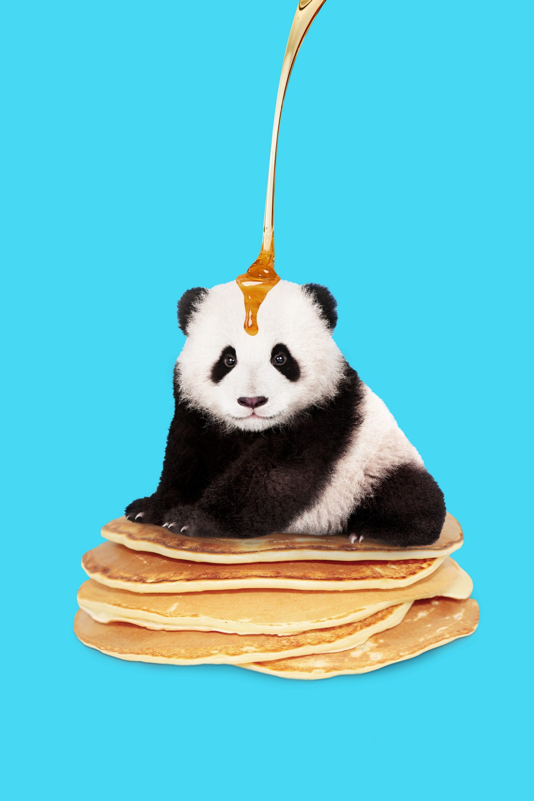 FIVE ART FRIDAY : GLOBAL FAVORITE FOODIES – Arti Seni Indonesia